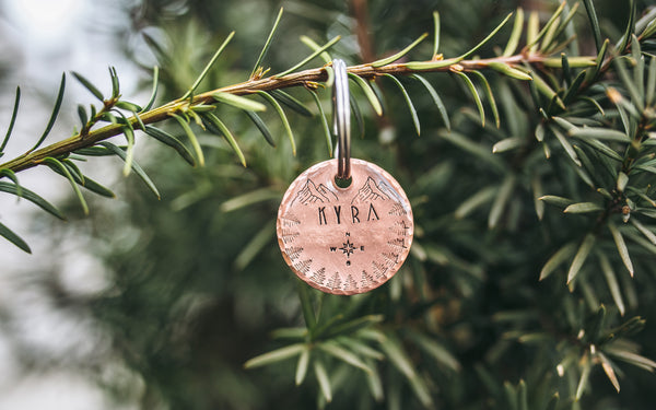 Dog Tag Phone Number Guide - Copper Paws