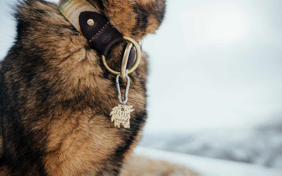 Copper Paws Hand-Stamped Metal Dog Tags